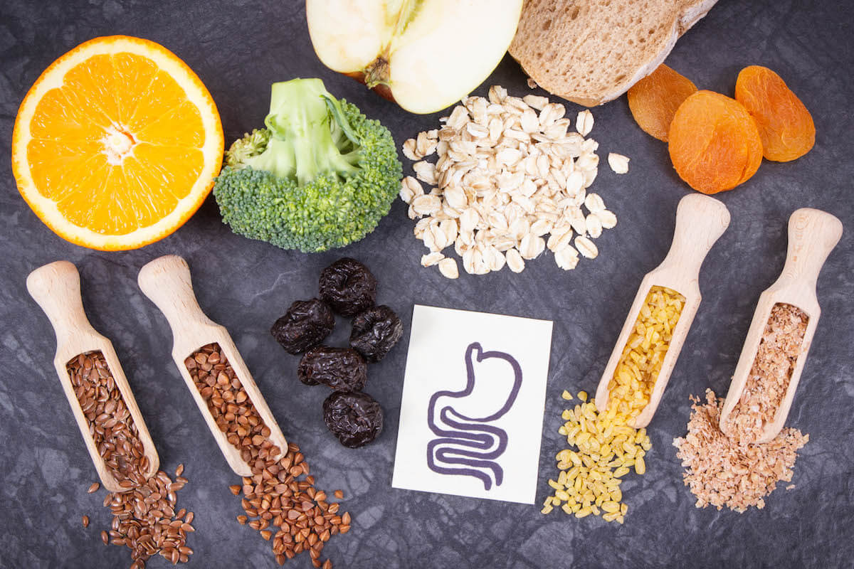 ¿qué Es La Fibra En Nutrición